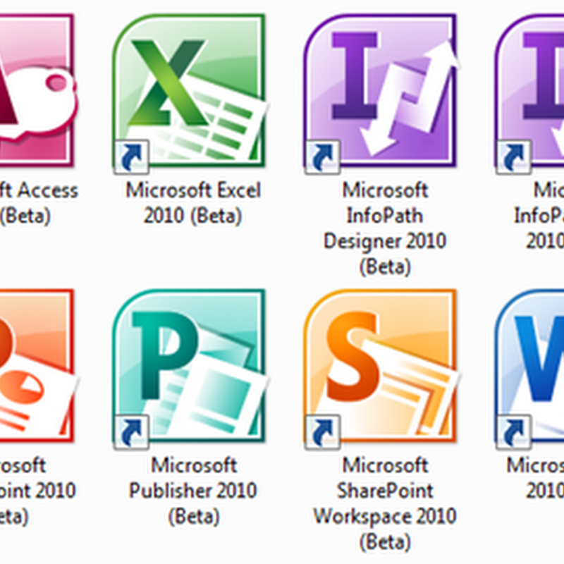 Microsoft Excel 2010 Logo